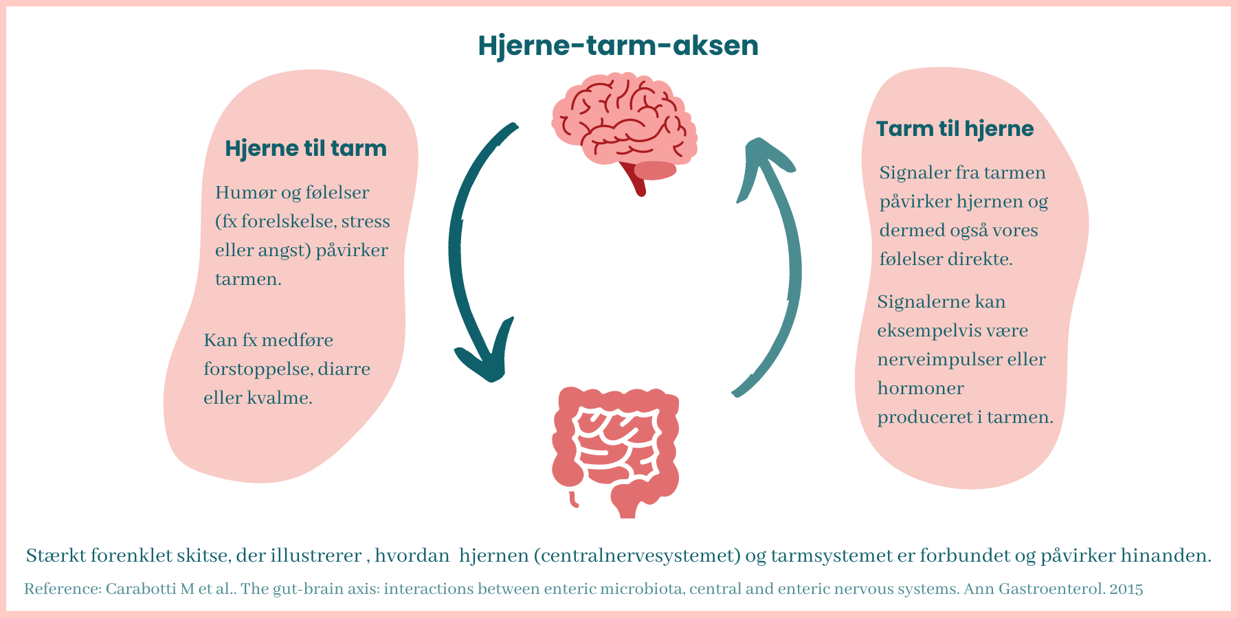 Funktionelle Mavesmerter hos børn – en udbredt men overset lidelse ...
